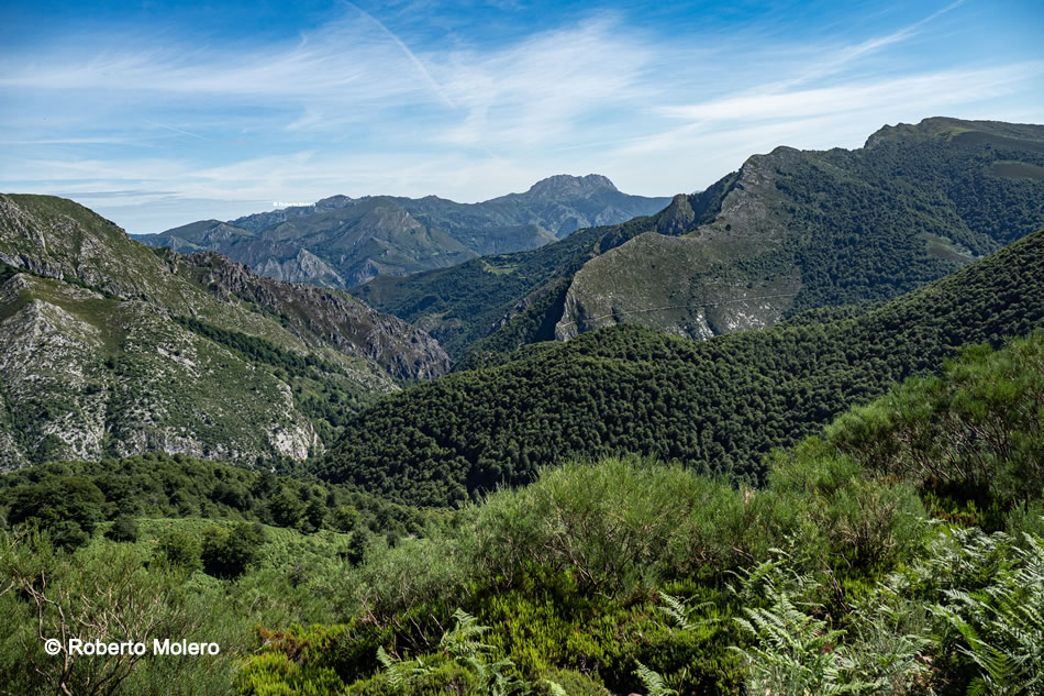 Parque natural de Redes | Rutas por Asturias, senderismo en asturias ...